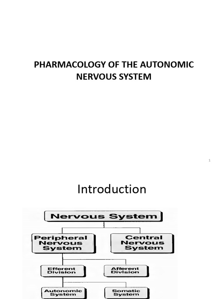Autonomic Nervous System Pharmacology | PDF | Acetylcholine ...
