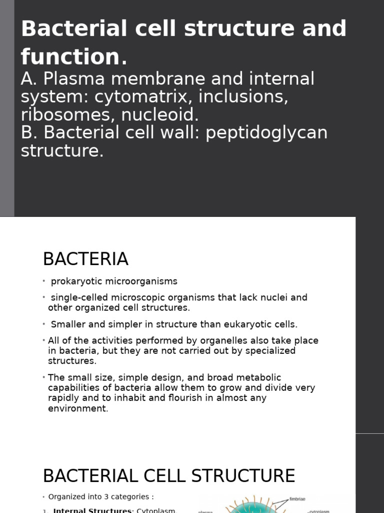Bacterial Cell Structure and Function | PDF | Cell Membrane | Cell ...