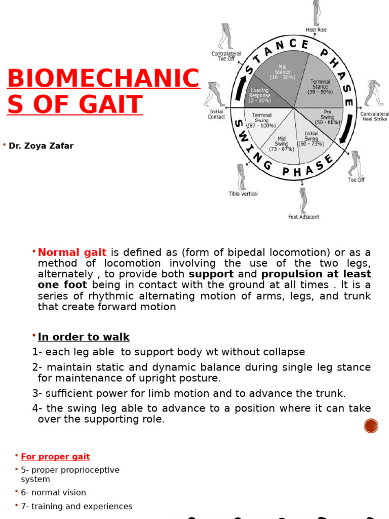 Gait Biomechanics Overview and Analysis | PDF | Foot | Anatomical Terms ...