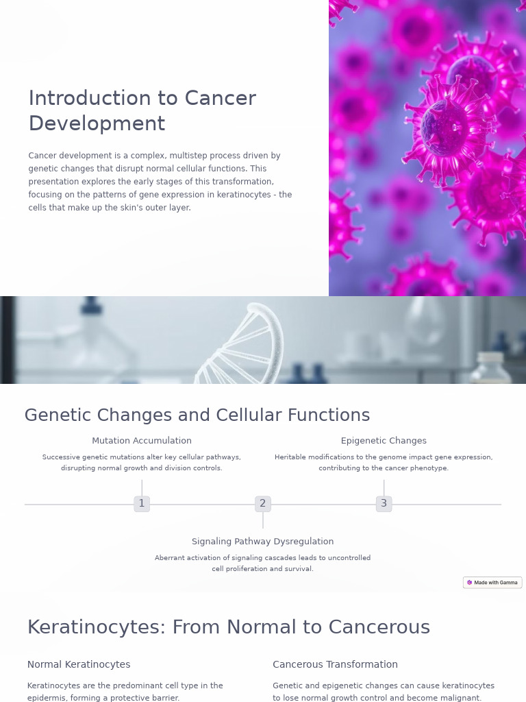 Introduction To Cancer Development | PDF | Cancer | Oncogene