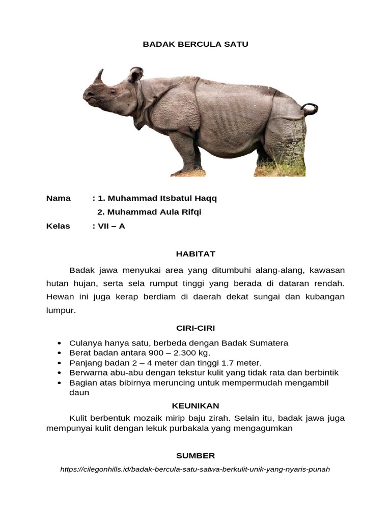 Badak Bercula Satu | PDF