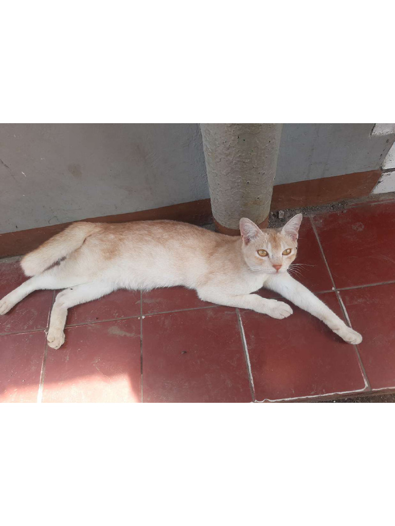 20241216_121004 | PDF