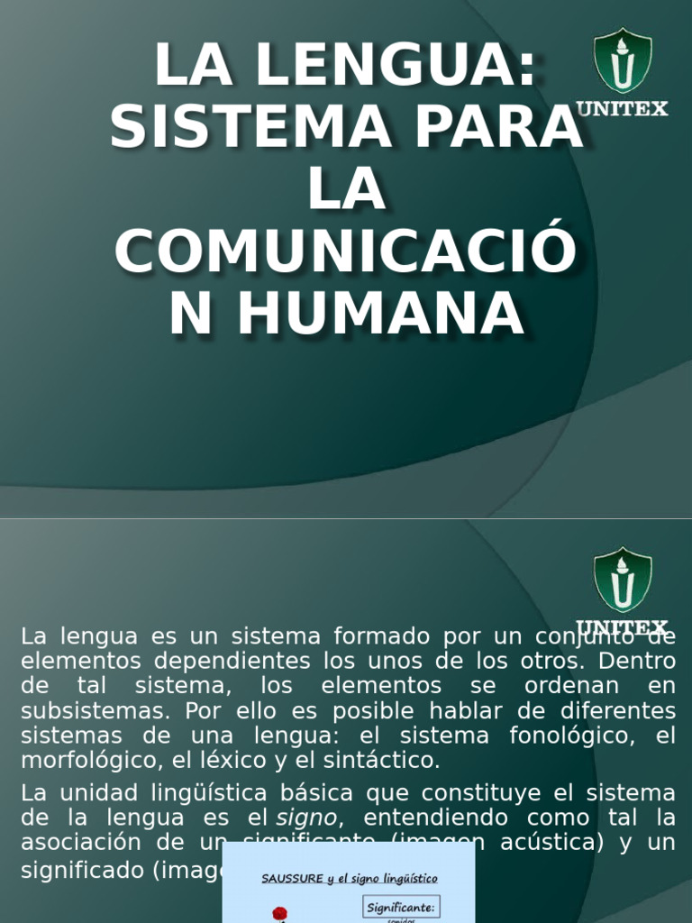 Estructura y funciones de la lengua | PDF | Palabra | Léxico