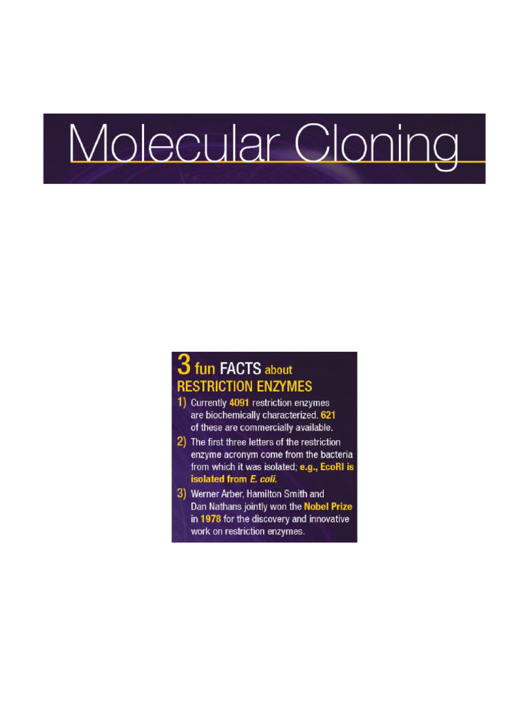 Re and Cloning | PDF