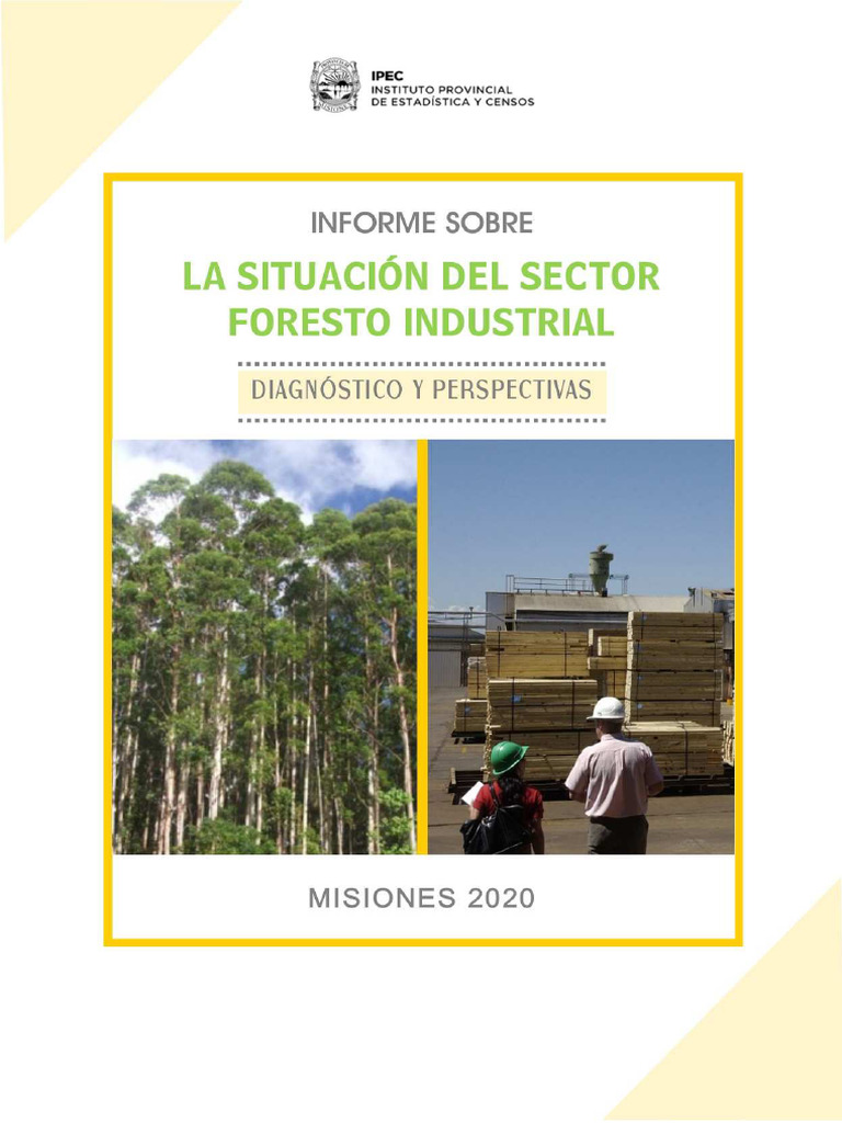 IPEC-Misiones-Informe-Situacion-Sector-Foresto-Industrial-de-Misiones-Año-2020 | PDF | Salario ...