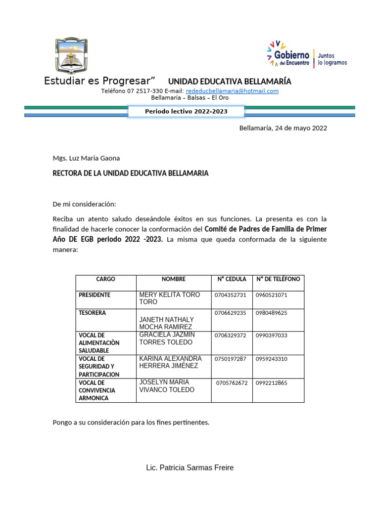 Comite de Ppff. | PDF