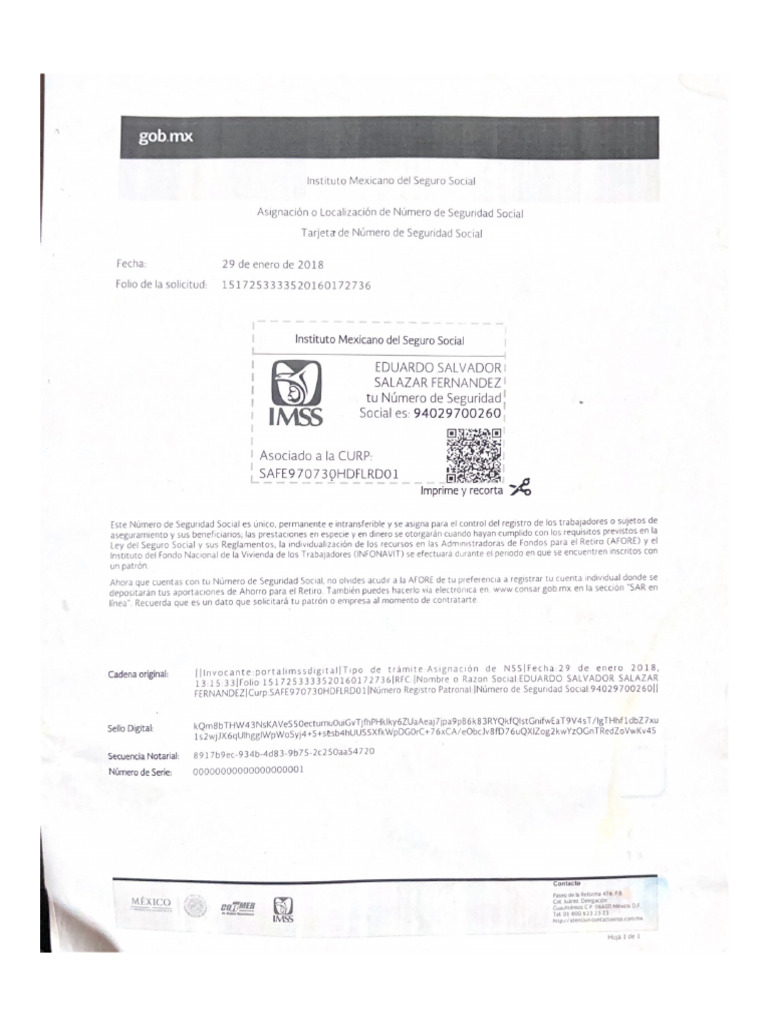 IMSS | PDF