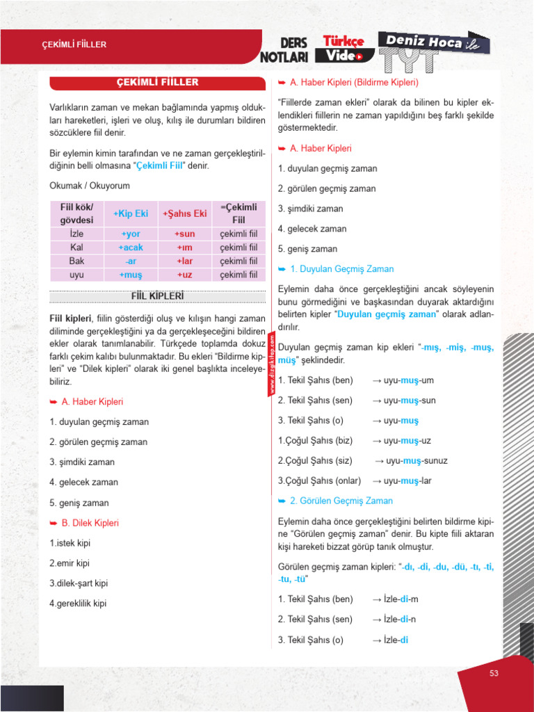 Cekimli Fiil PDF Ders Notu 2024 | PDF