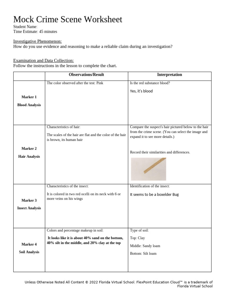 02_07_mock_crime_scene_worksheet (1) | PDF | Crime Scene | Witness