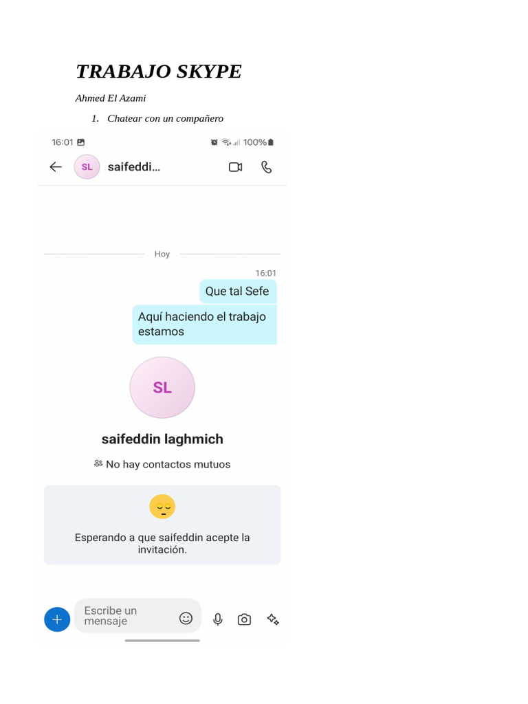 Skype | PDF