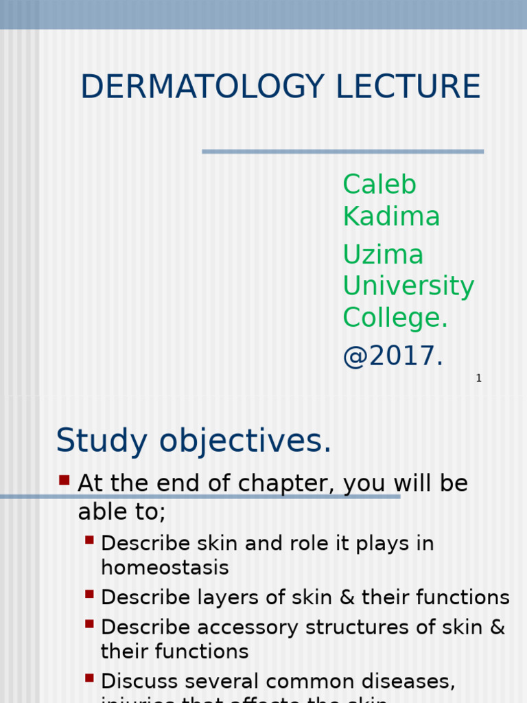 Understanding Skin Anatomy and Disorders | PDF | Skin | Epidermis