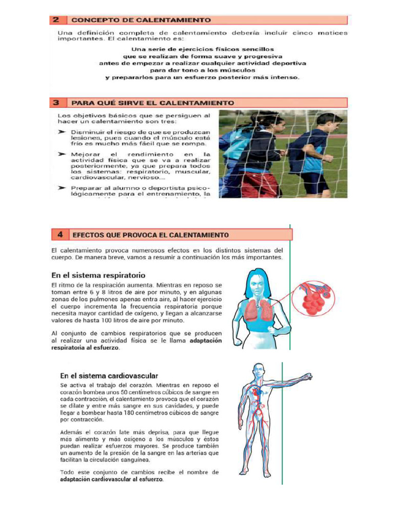 CALENTAMIENTO FISICO | PDF