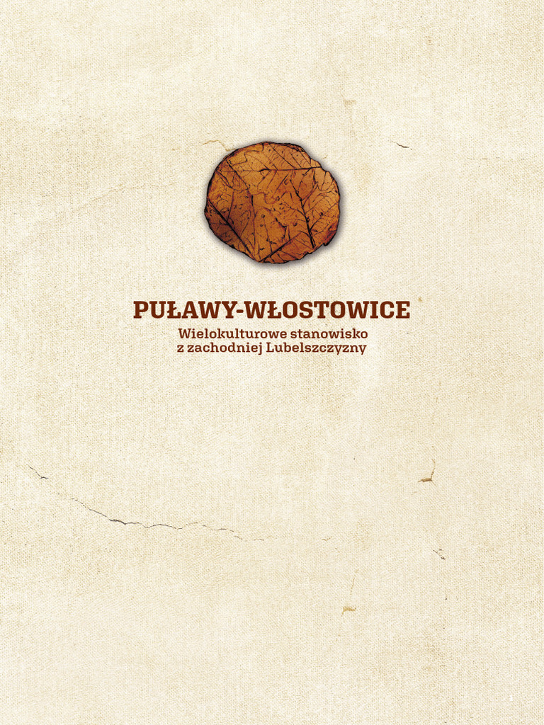 Marcin Szeliga 1 | PDF