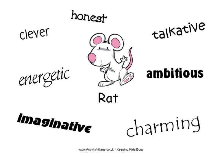 Rat Poster | PDF