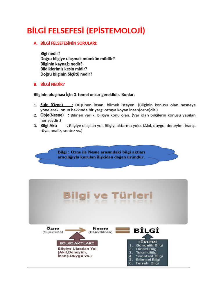 Bilgi Felsefesi | PDF