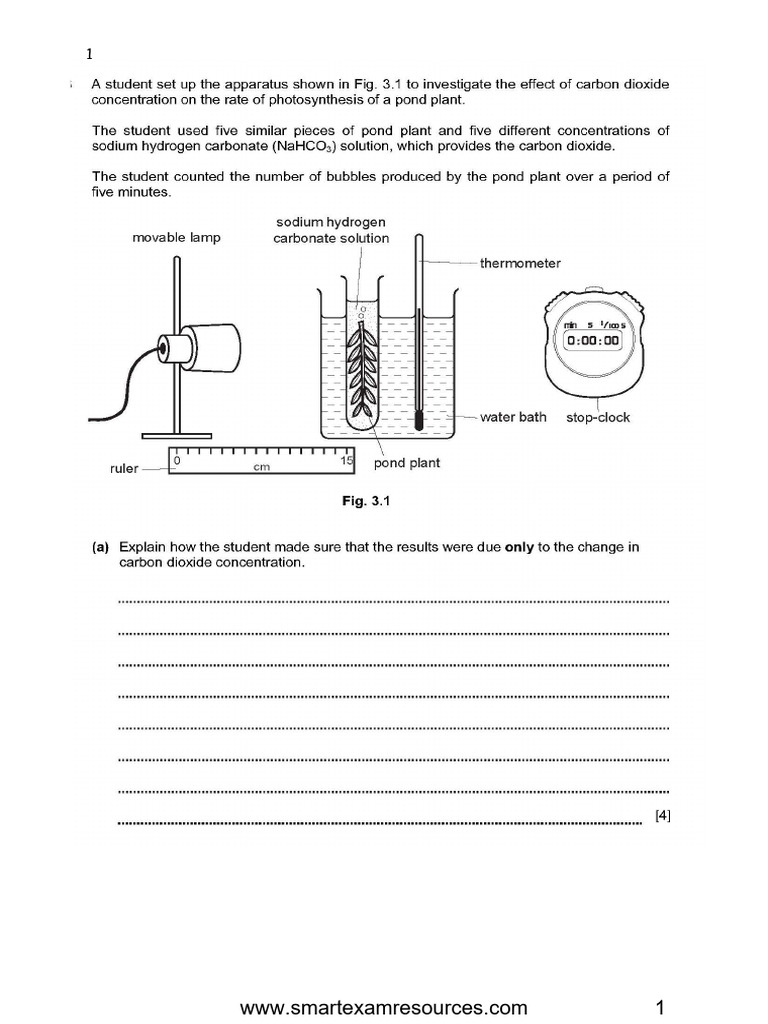 Smart Exam Resources Marking Scheme | PDF