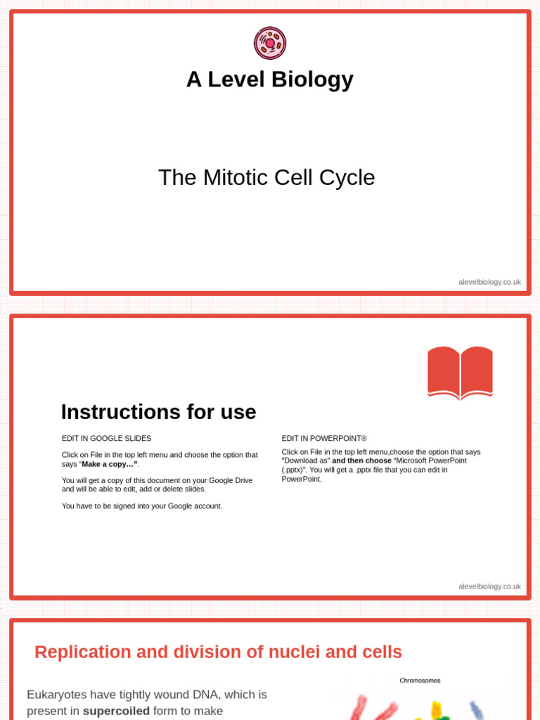 The Mitotic Cell Cycle - Presentation | PDF | Mitosis | Cell (Biology)