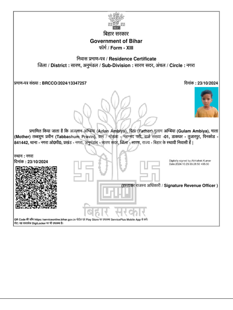 Brcco 2024 13347257 | PDF