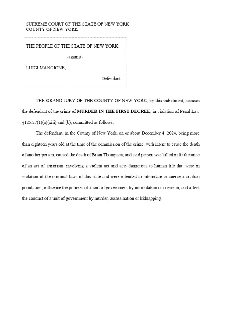 New York Indictment: Murder and Weapons Charges | PDF | Indictment ...