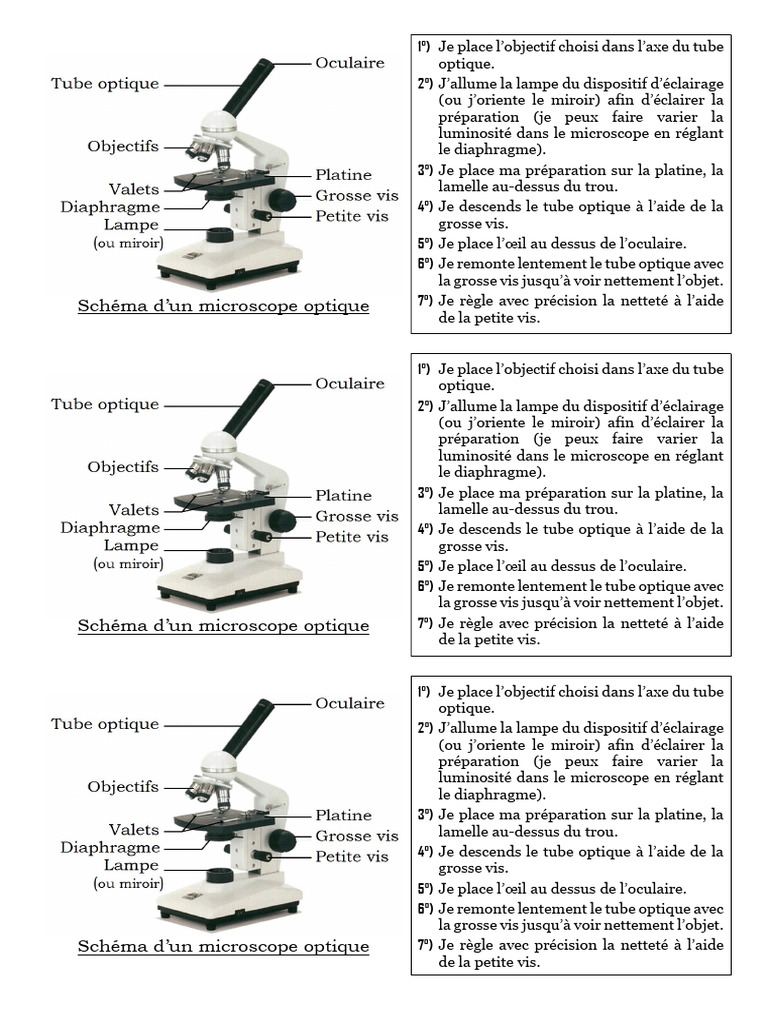 Utilisation d'un microscope optique | PDF | Objectif photographique ...