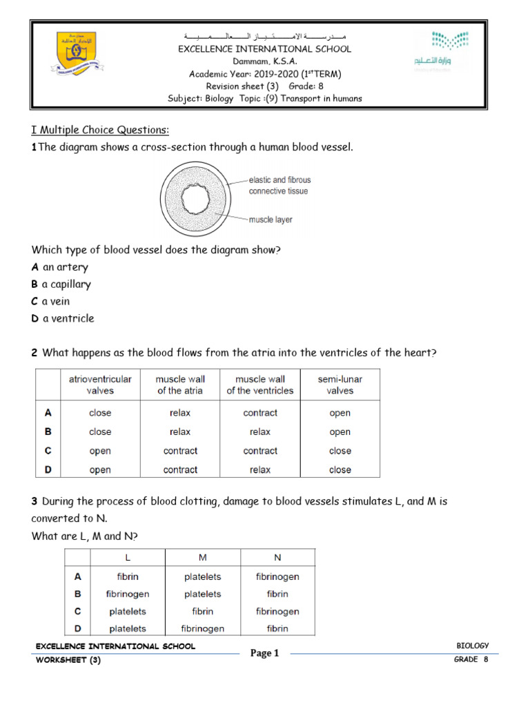 REVISION.SHEET.CHAPTER 9 TRANSPORT IN ANIMALS | PDF | Heart | Artery