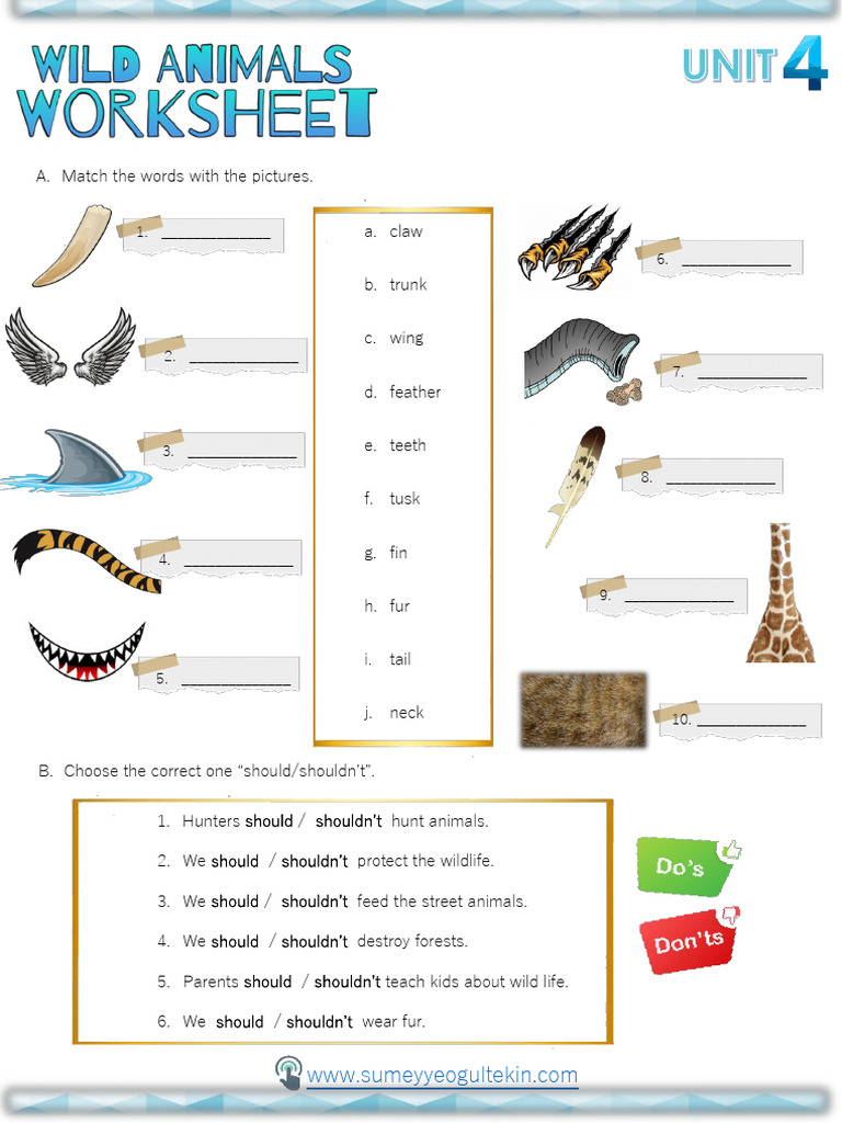 Wildlife Education for Kids | PDF