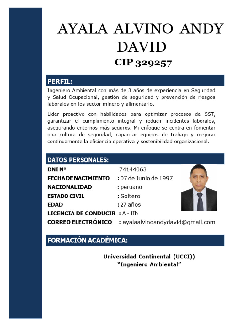 CV Andy David Ayala Alvino | PDF | Seguridad alimenticia | Seguridad y ...