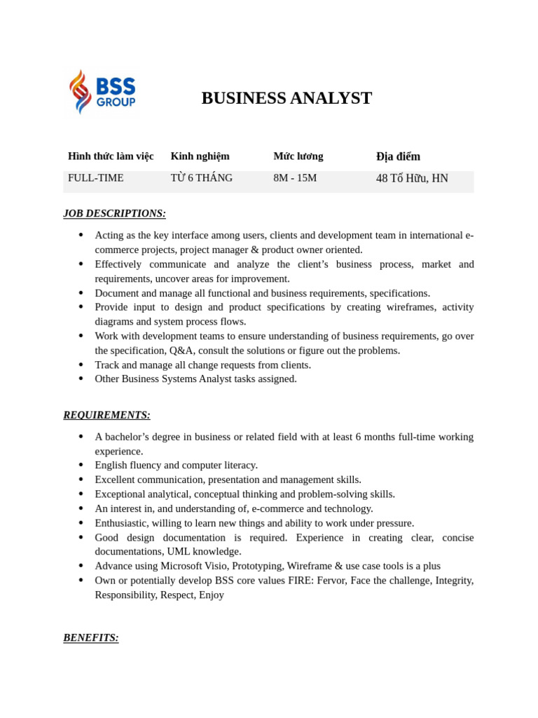 BUSINESS ANALYST | PDF | Computing
