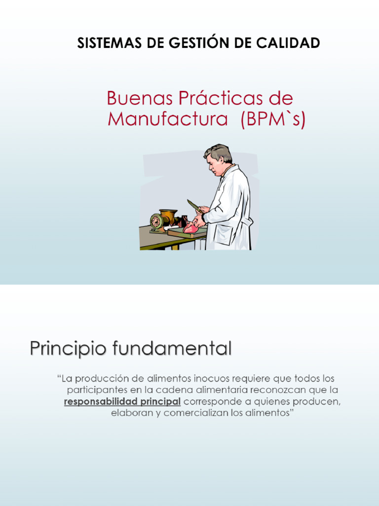 1 - Buenas Practicas de Manufactura BPM | PDF