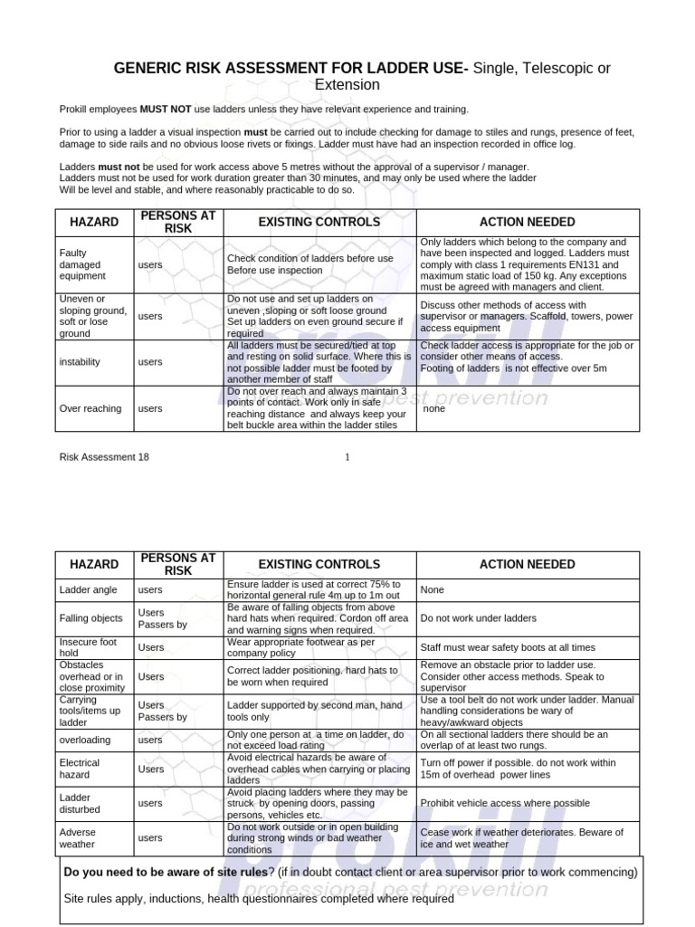 Risk Assessment 18 Generic LADDER | PDF | Ladder