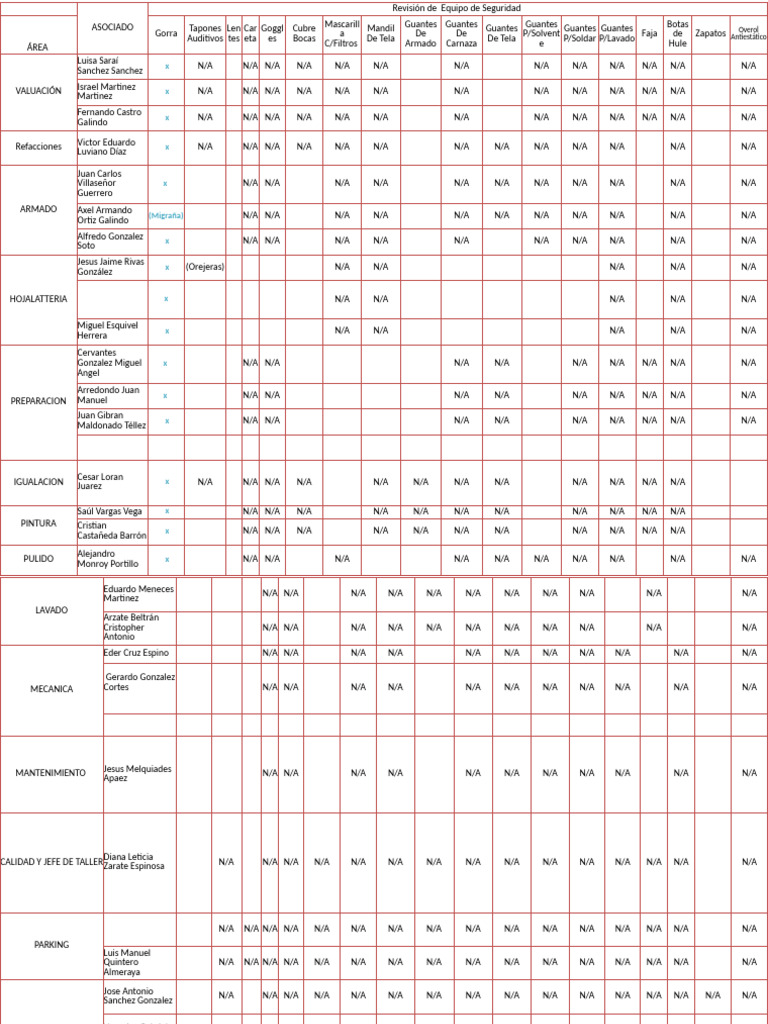 Revisión Periodica de Equipo de Seguridad | PDF