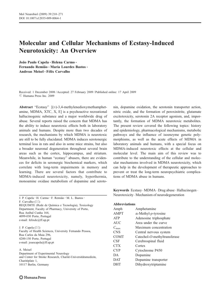 6_Molecular and Cellular Mechanisms of Ecstasy-Induced Neurotoxicity ...