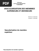 Vascularisation du membre inférieur | PDF | Main | Jambe humaine