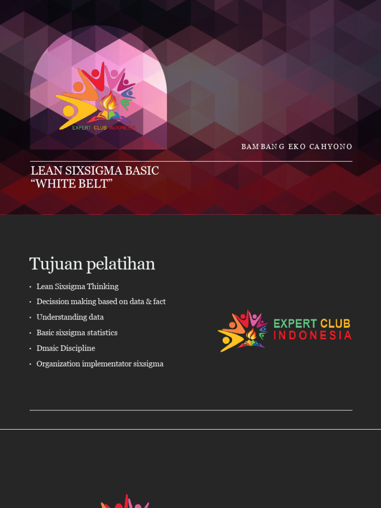 Modul Sixsigma Basic - White - Bembi ECI Short | PDF