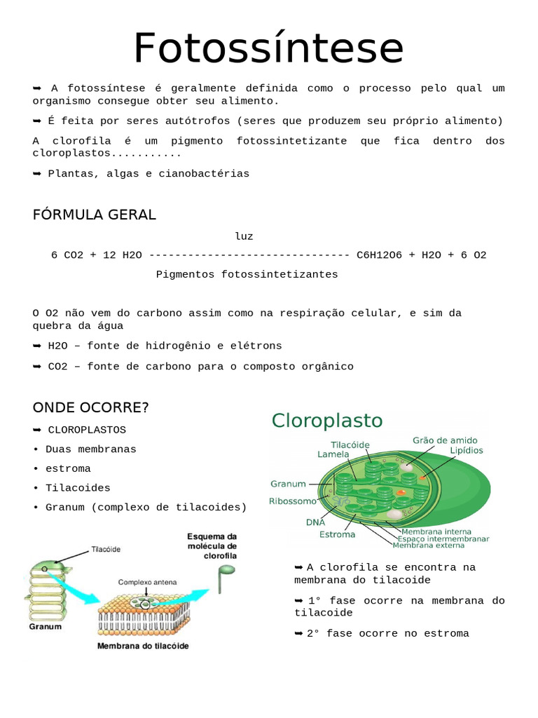 Fotos Sint Ese | PDF | Clorofila | Fotossíntese