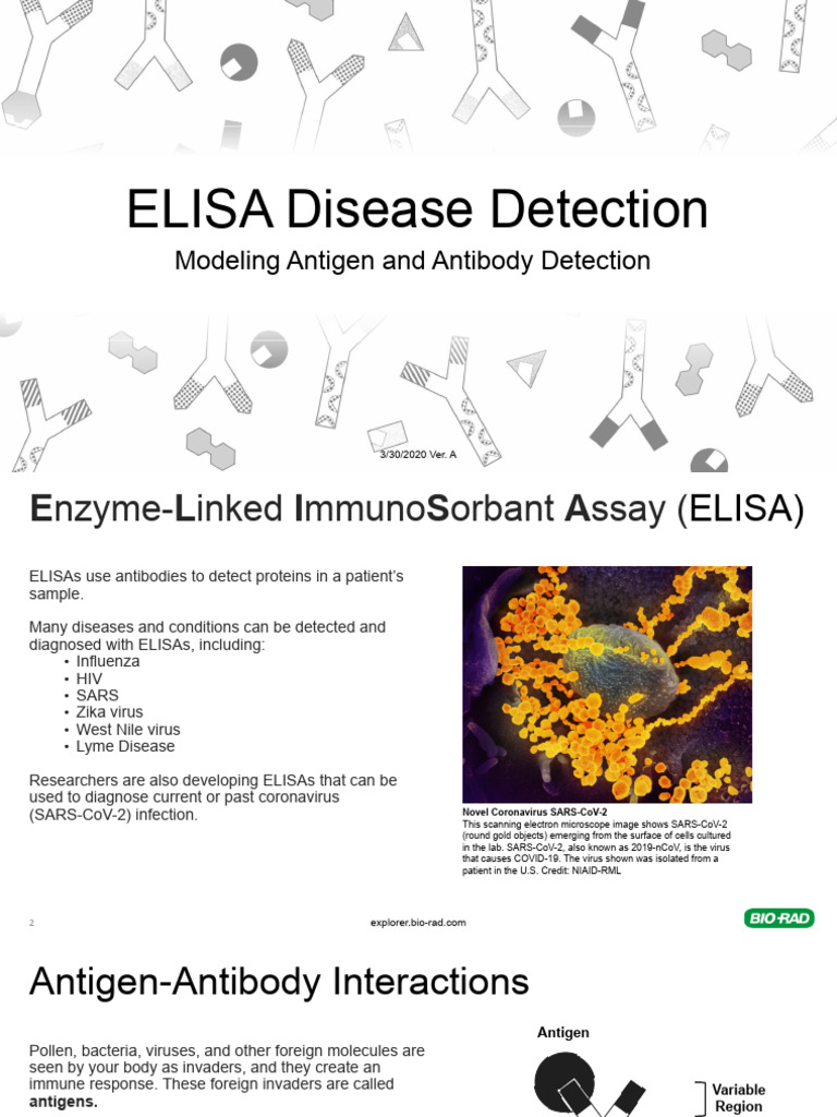 Adilah Firdaus - ELISA Disease Detection Modeling | PDF | Elisa | Antibody