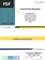 Modulo de RCP Neonatal 2025 | PDF | Reanimación cardiopulmonar | Parto