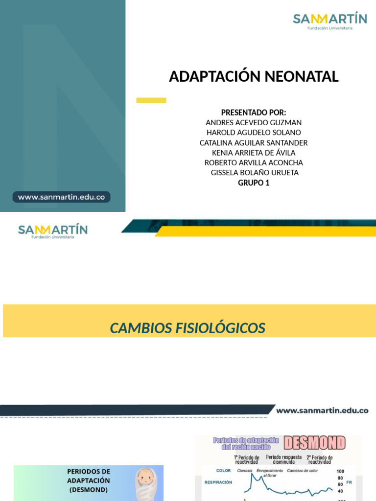 ADAPTACIÓN NEONATAL | PDF | Reanimación cardiopulmonar | Enfermedades y ...