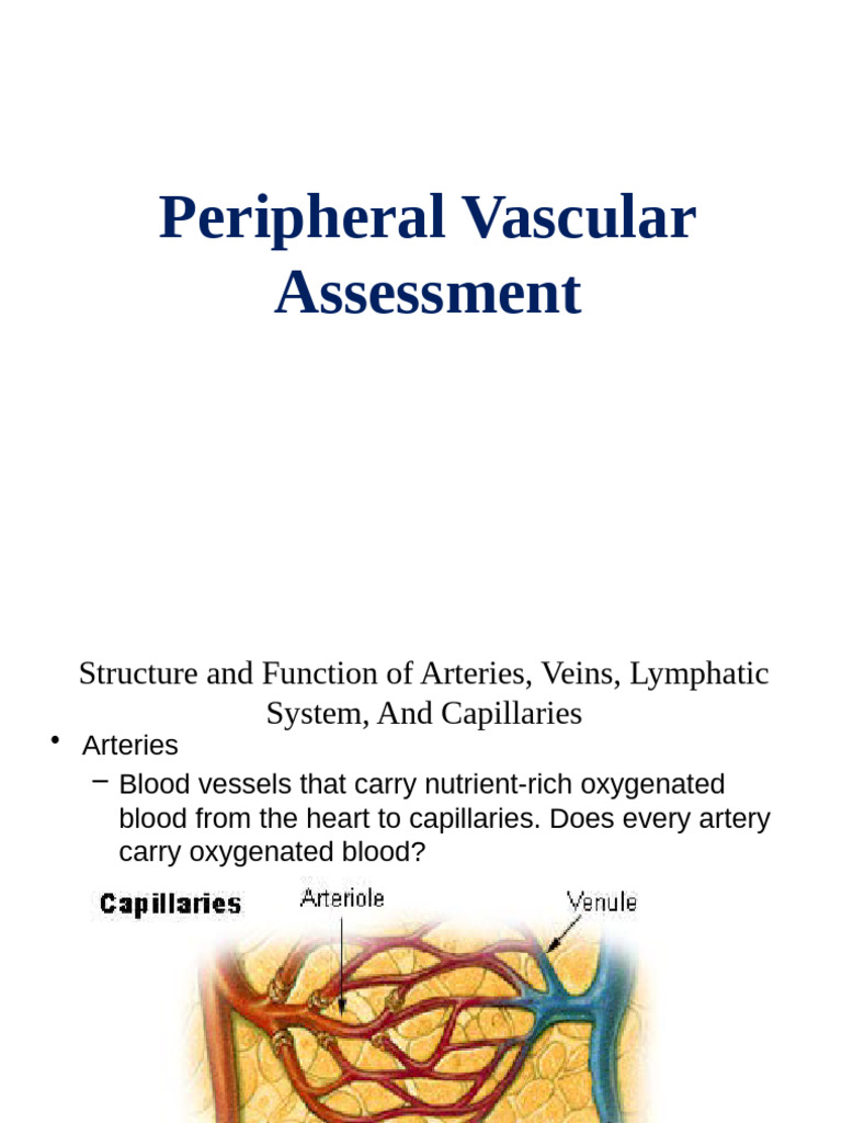 Assessment of Peripheral Vascular System | PDF | Vein | Blood Vessel