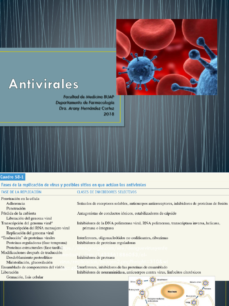Antivirales: Aciclovir, Valaciclovir y Más | PDF | Influenza ...