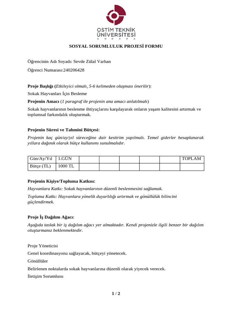 Sosyal Sorumluluk Projesi Formu | PDF