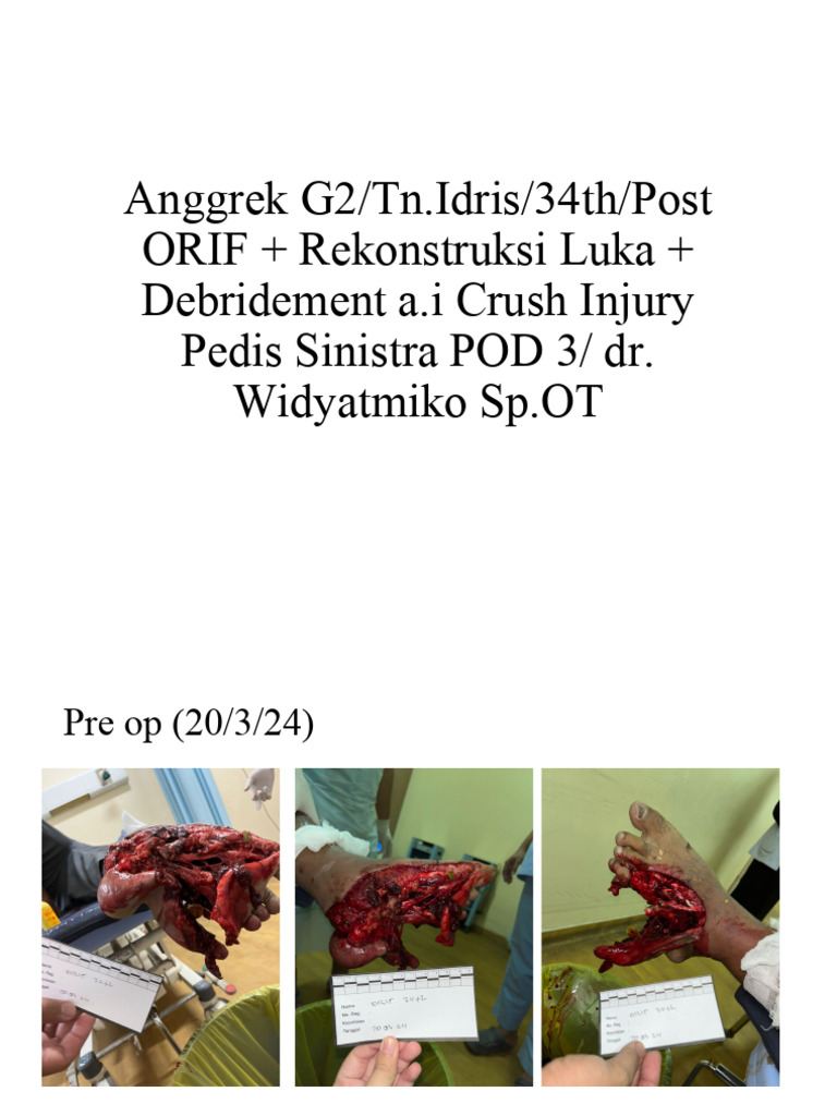 Anggrek Idris PDF | PDF