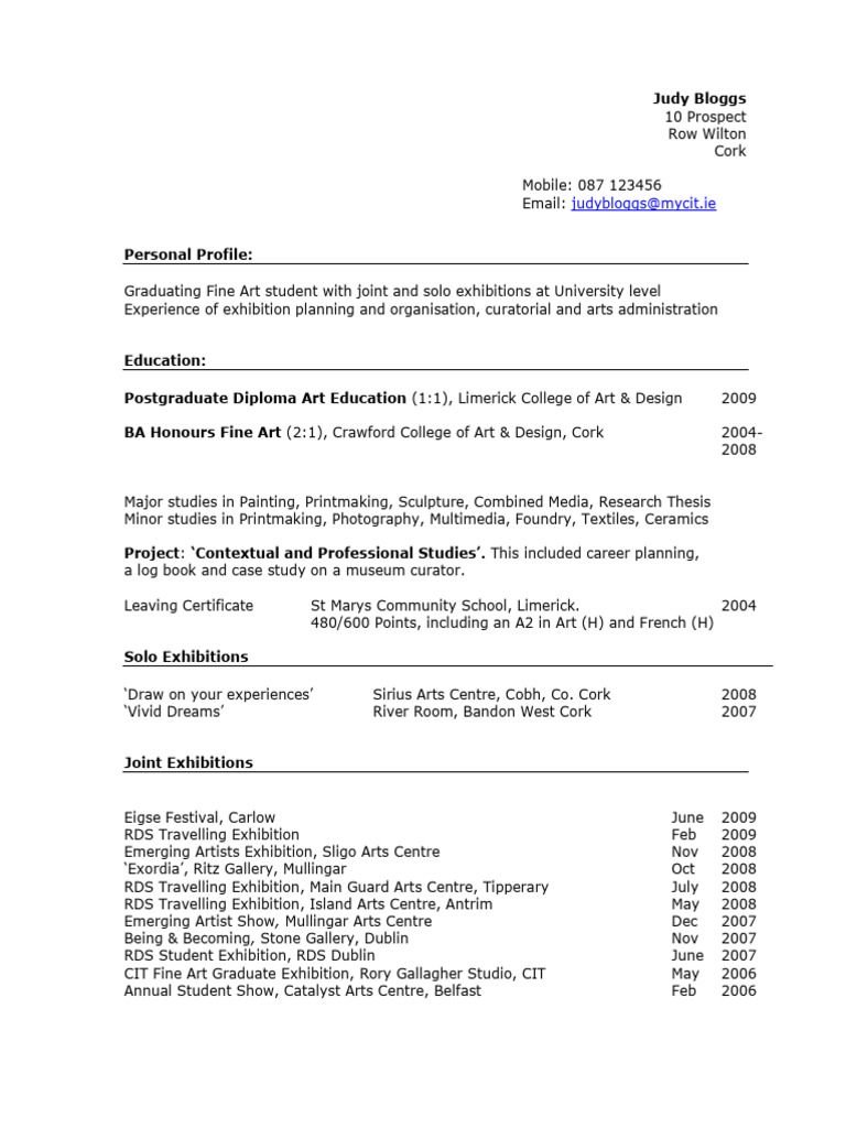 Sample Fine Art CV | PDF | The Arts