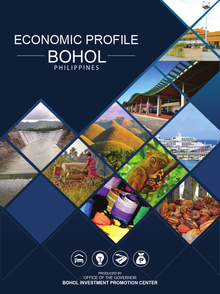Bohol Economic Profile & Investment Guide | PDF
