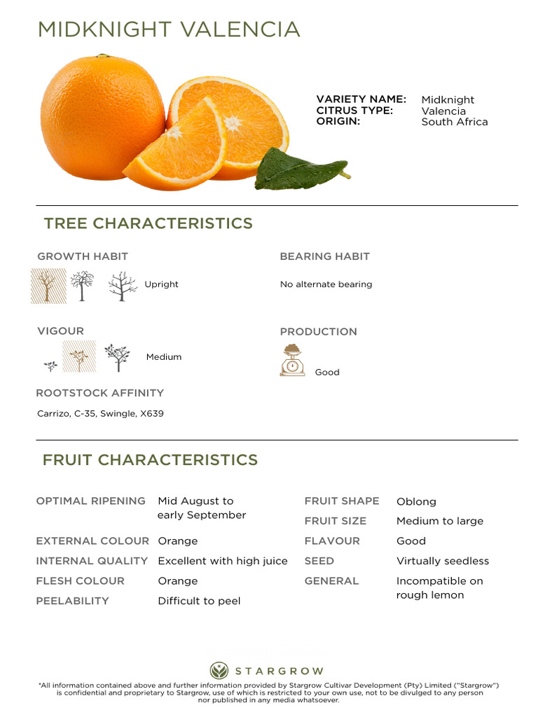 Midknight Valencia Orange Overview | PDF