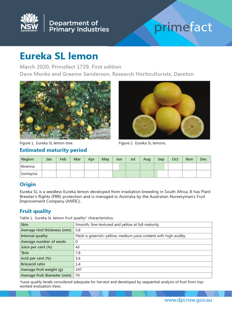 Eureka SL Lemon | PDF | Lemon | Fruit