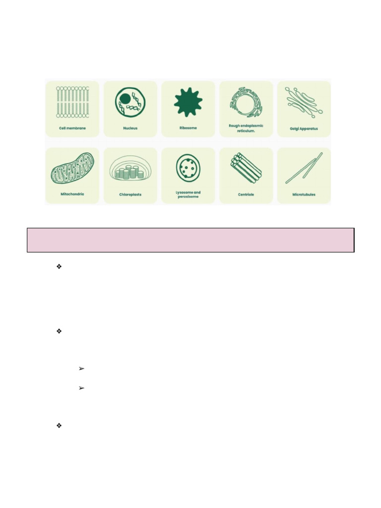 WEEK-1-HISTO-TYPES-OF-CELLS-STAINING-INTRODUCTION-AND-HISTORY | PDF | Cell (Biology ...