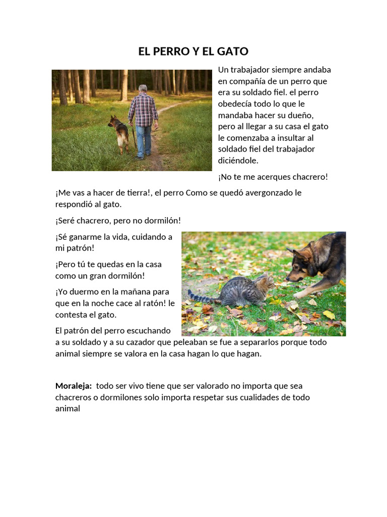 El Perro y El Gato | PDF