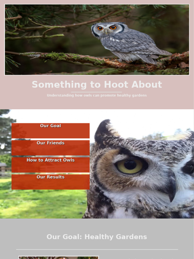 Something to Hoot About | PDF