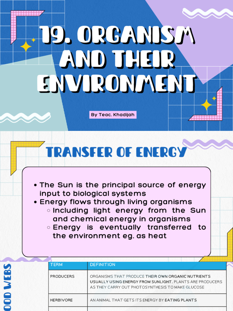 Chapter 19 Organism and Their Environment | PDF | Food Web | Nitrogen